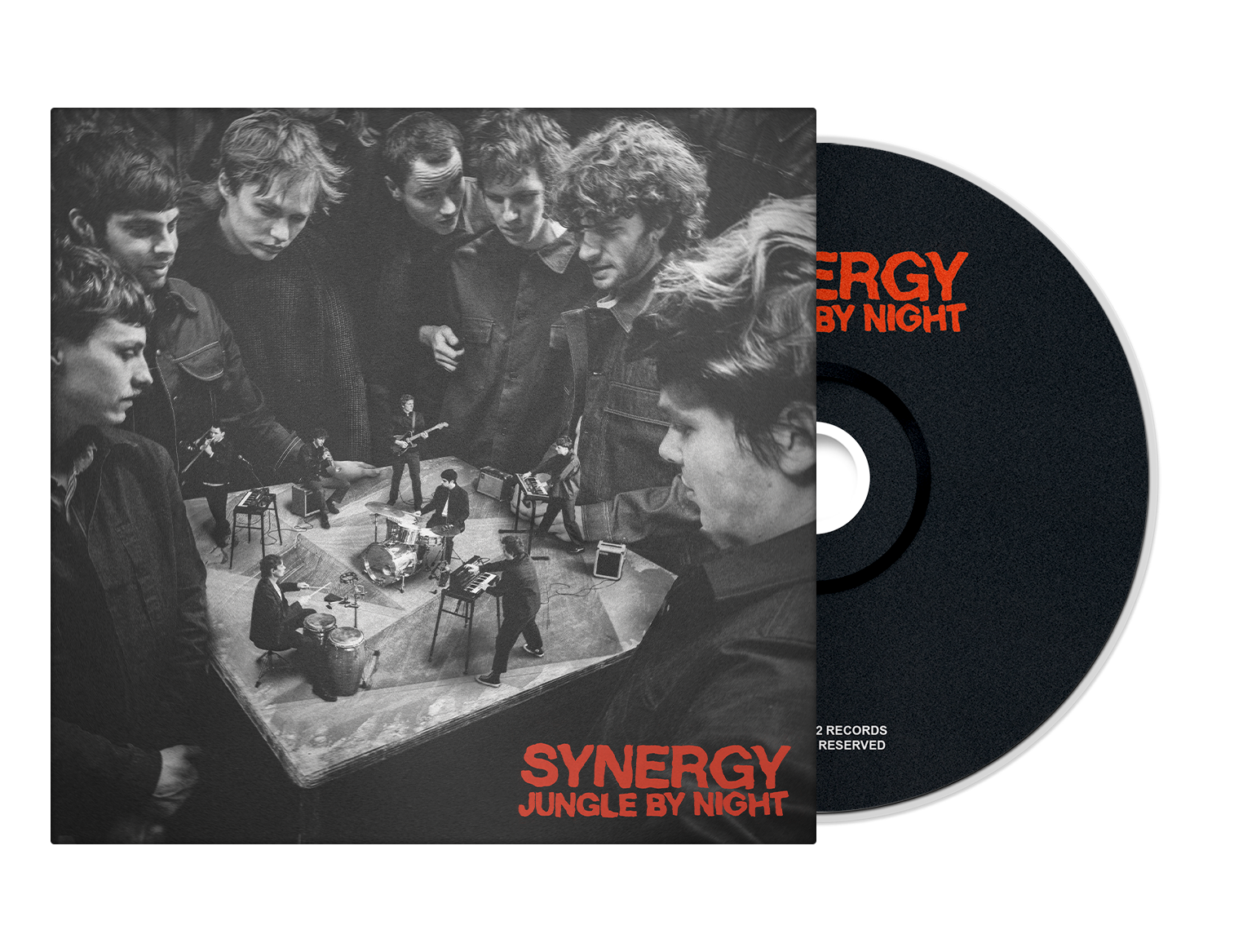 Jungle by Night – Synergy – CD – Sound Factory